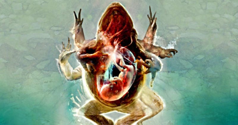 Environmental Horror Wreaks Havoc in 2018's 'Strange Nature' - Movie ...