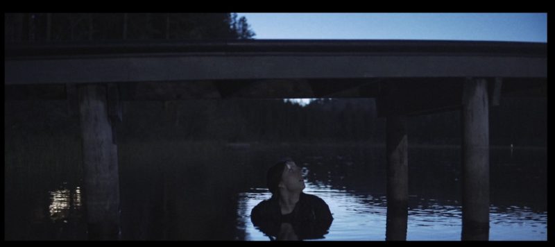 Andrew Bassett And Lilian Langston's 'Loon' (2017): A Totally Different ...