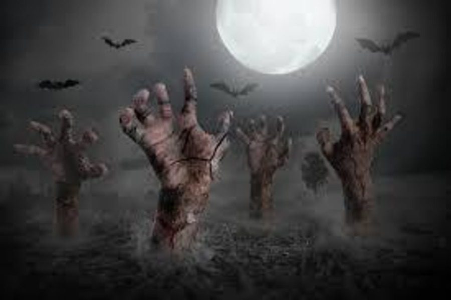 The Dead Walk: 10 Iconic Zombie Movies - PopHorror
